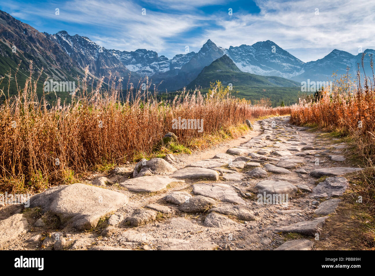 Strony hi-res stock photography and images - Alamy