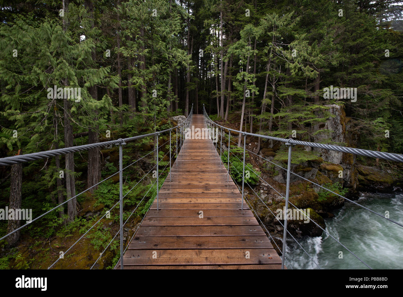 A small wooden suspension bridge in British Columbia, Canada, in the ...
