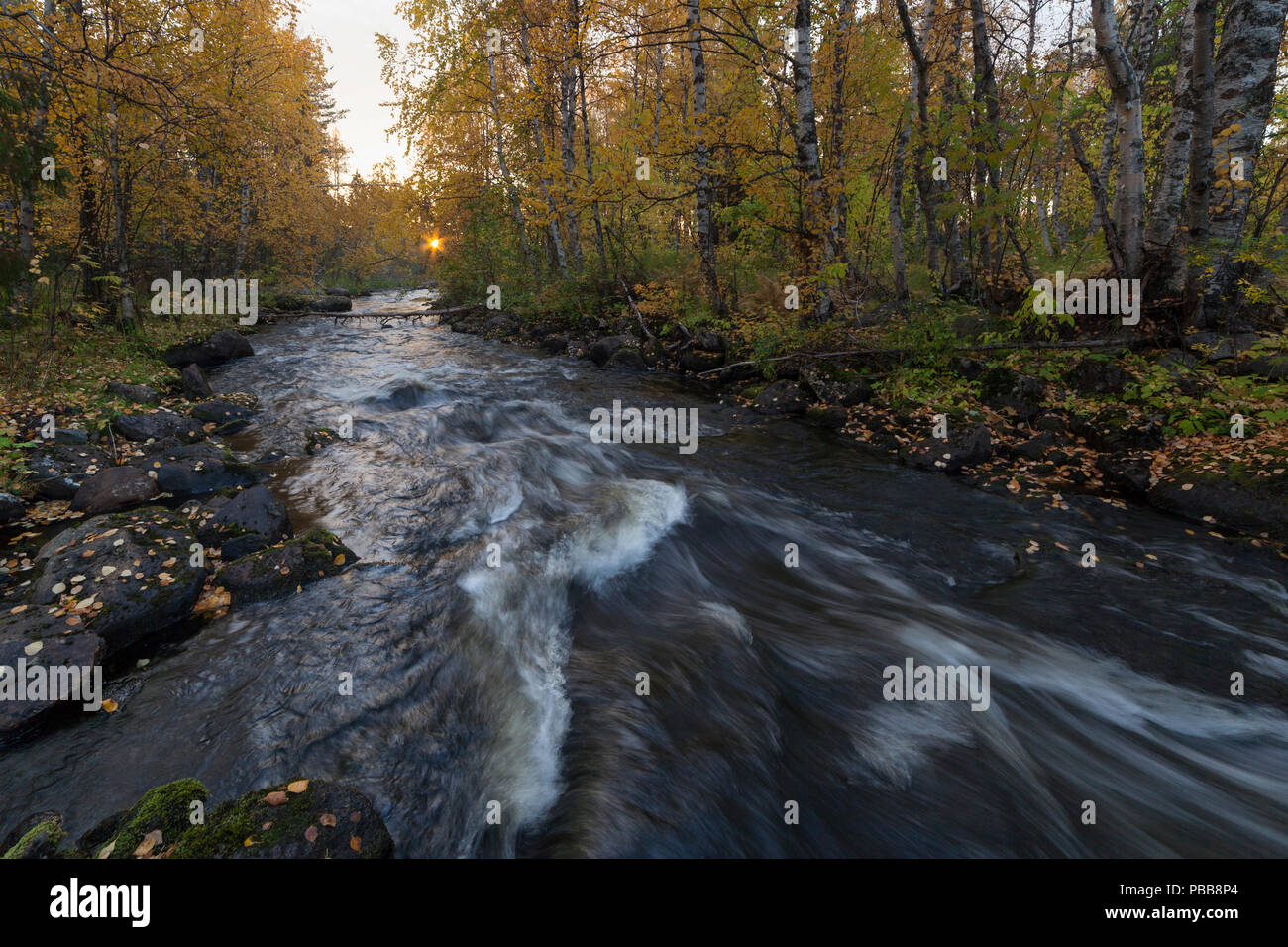 River in Muonio, Lapland, Finland Stock Photo - Alamy