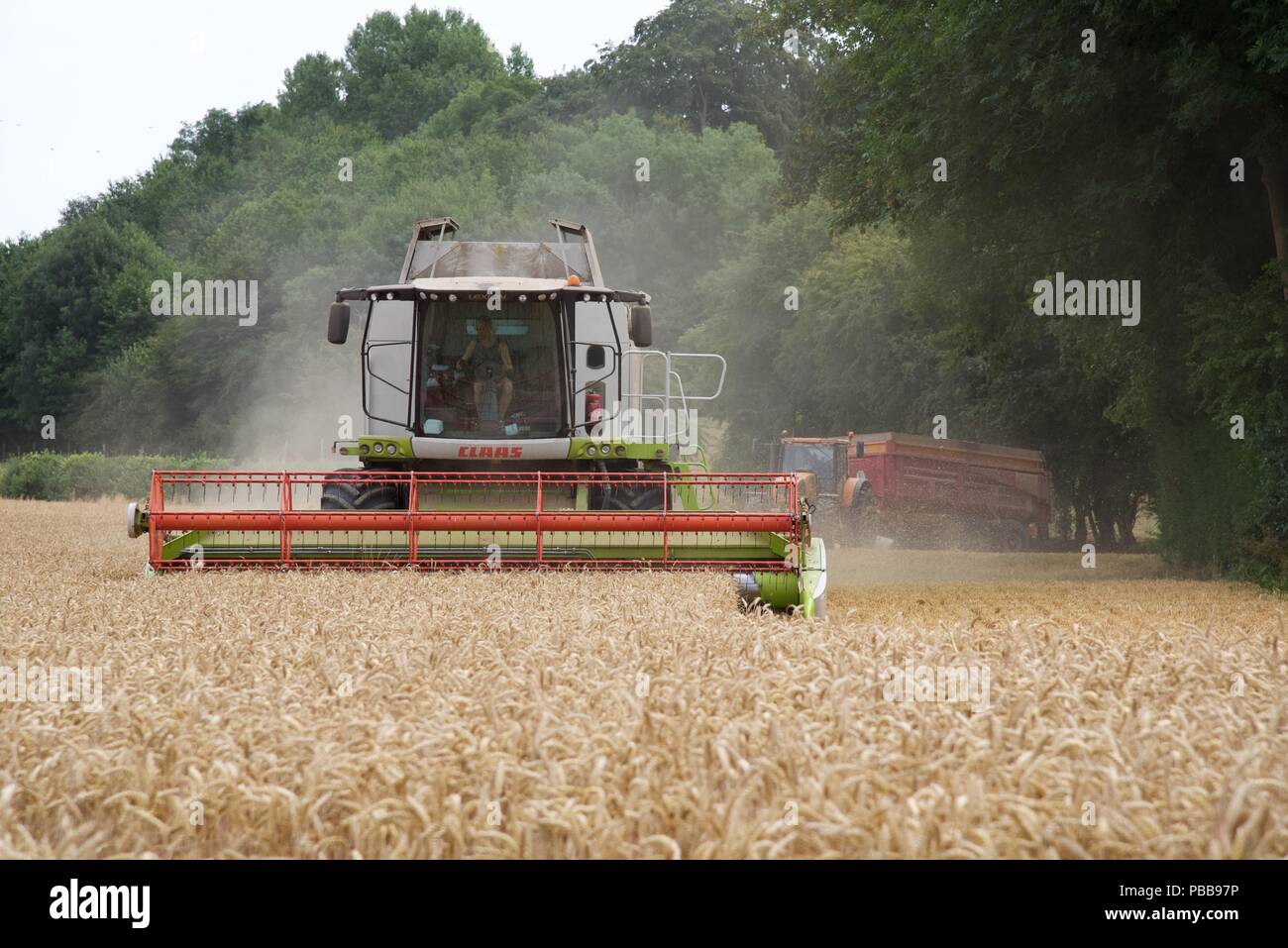 Wheat harvesting: the summer of 2018 and the crops of Pas-de-Calais are ...