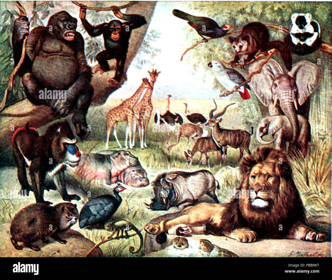 Enh hi-res stock photography and images - Alamy