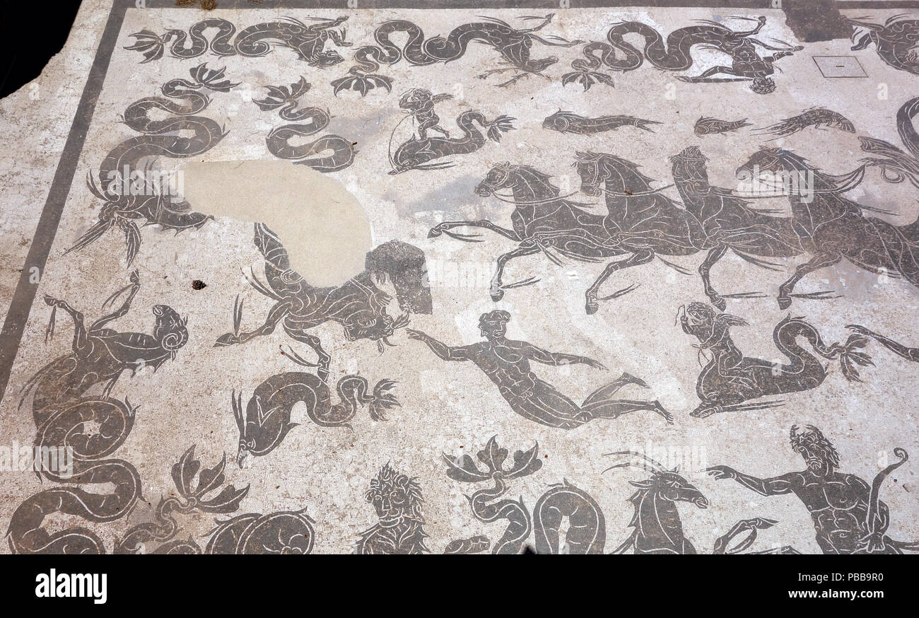Neptune Myth and water creatures on ancient Roman Floor, Ostia Antica ...