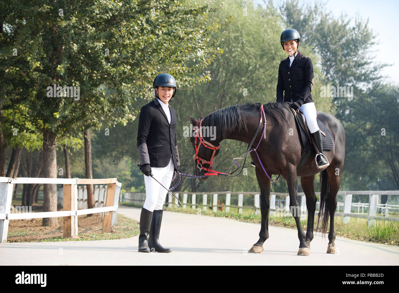 Cheerful Chinese couple riding horse Stock Photo - Alamy