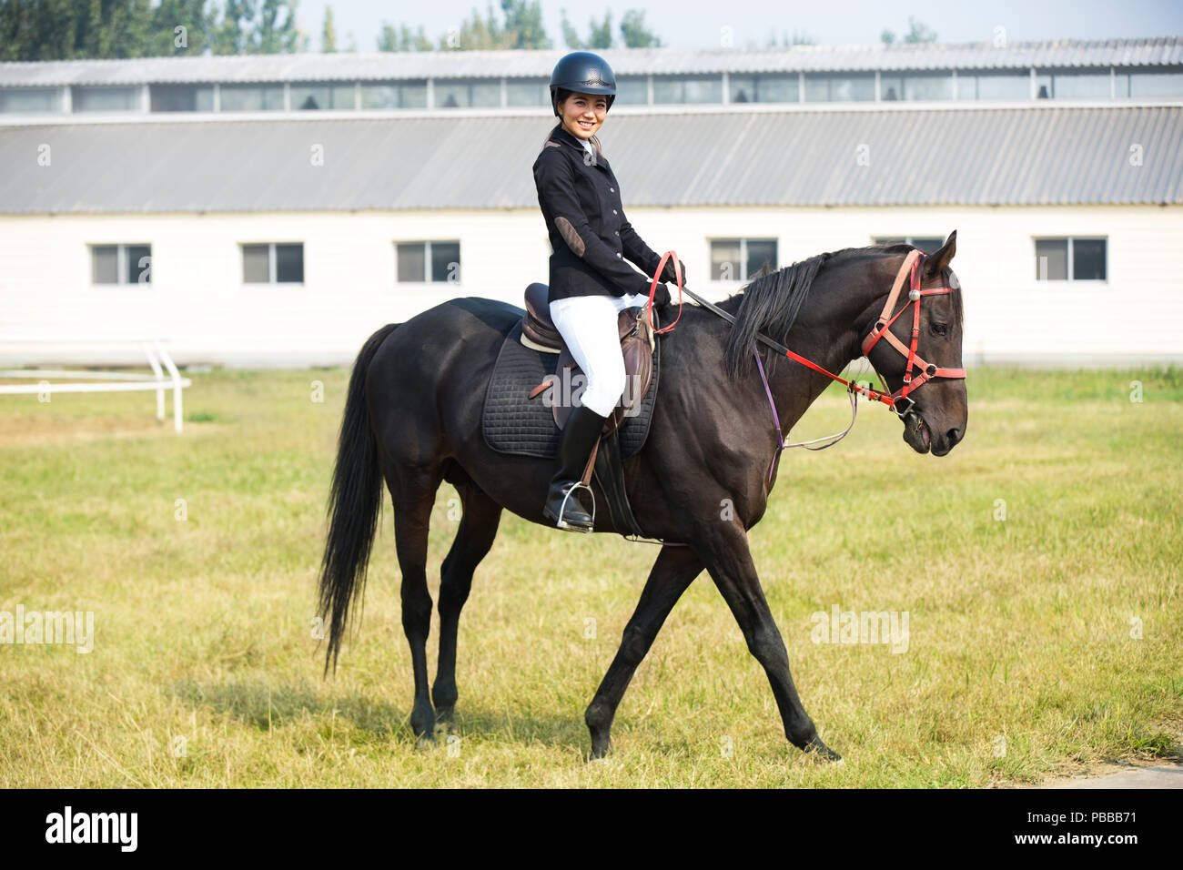 Chinese young woman riding horse hi-res stock photography and images ...