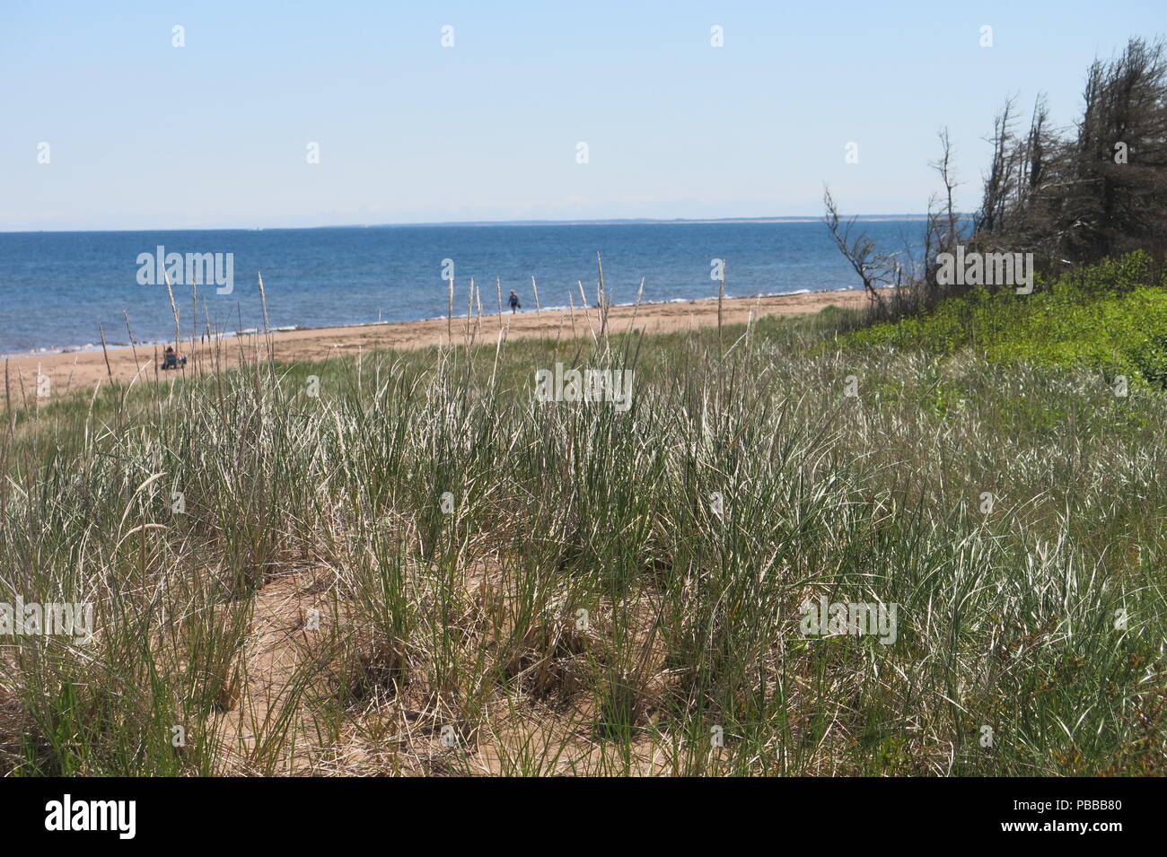Stanhope beach pei hi-res stock photography and images - Alamy