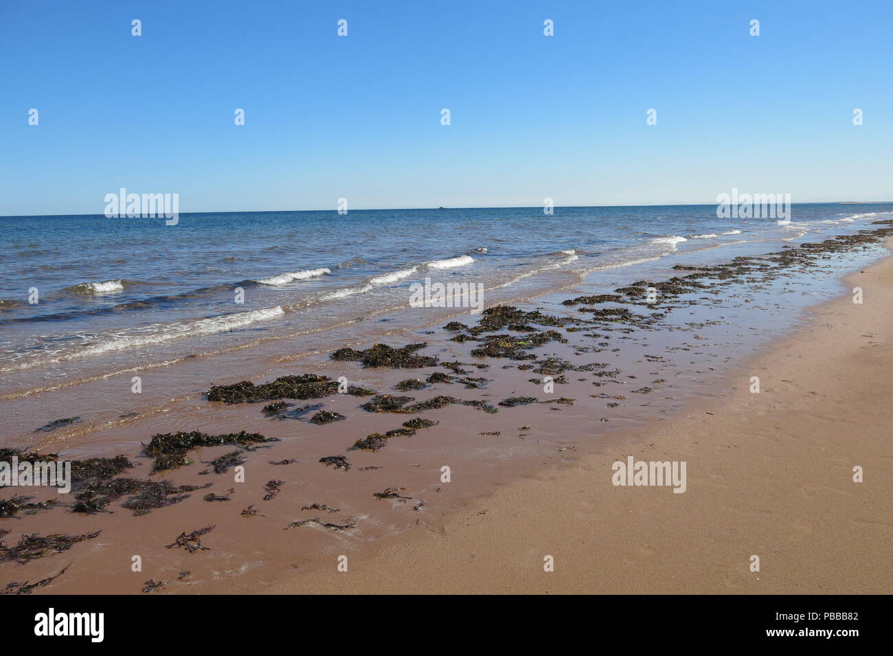 Stanhope beach prince edward island hi-res stock photography and images ...