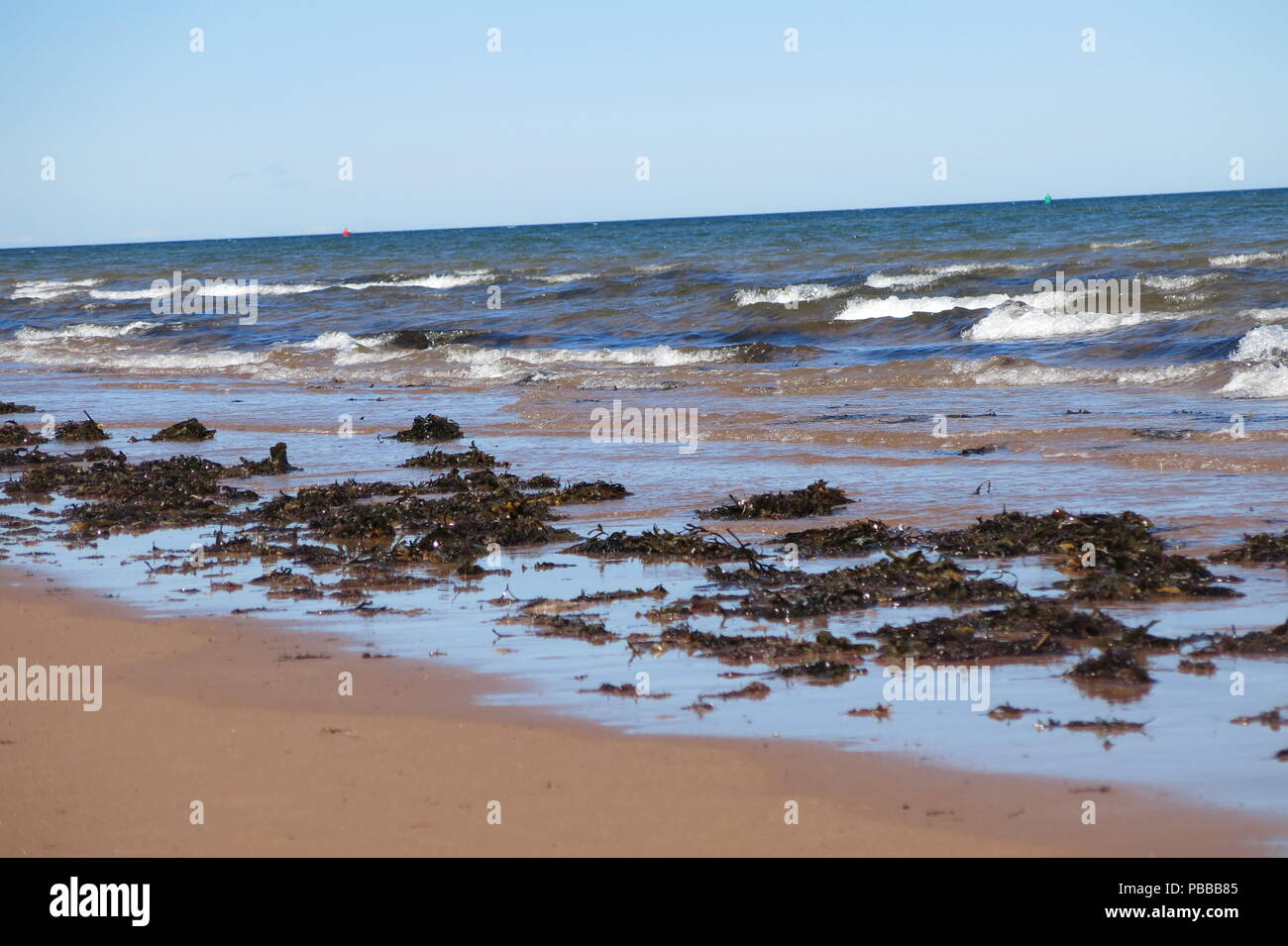 Stanhope beach pei hi-res stock photography and images - Alamy