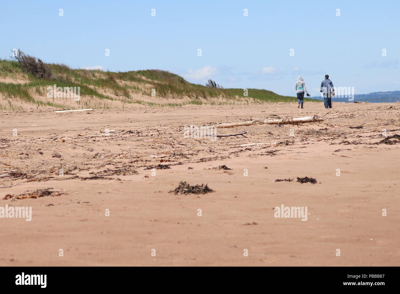 Stanhope beach pei hi-res stock photography and images - Alamy