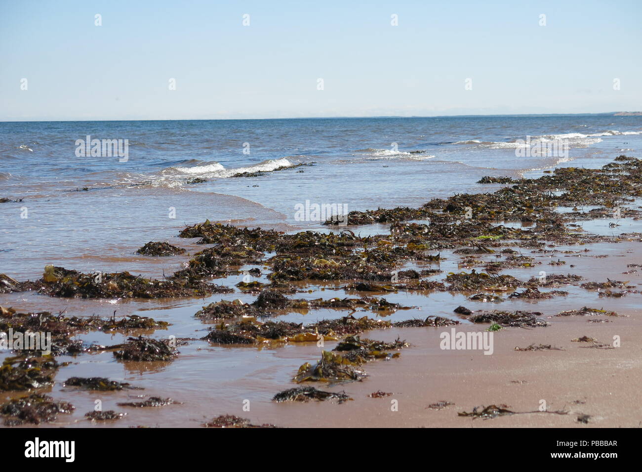 Stanhope beach prince edward island hi-res stock photography and images ...
