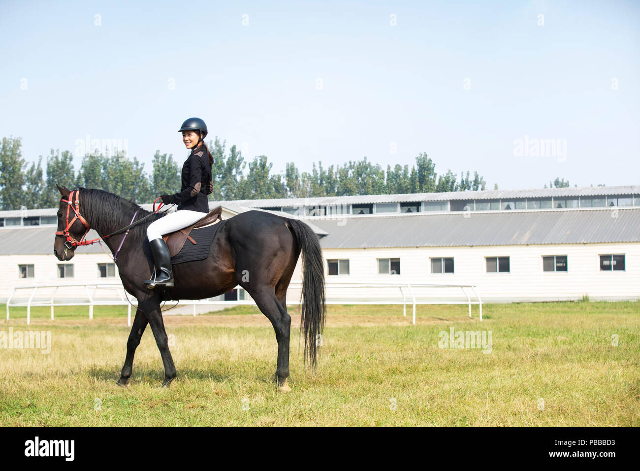 Chinese young woman riding horse hi-res stock photography and images ...