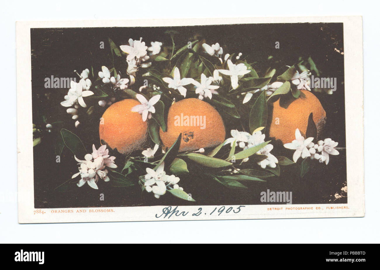 California farming Cut Out Stock Images & Pictures - Alamy