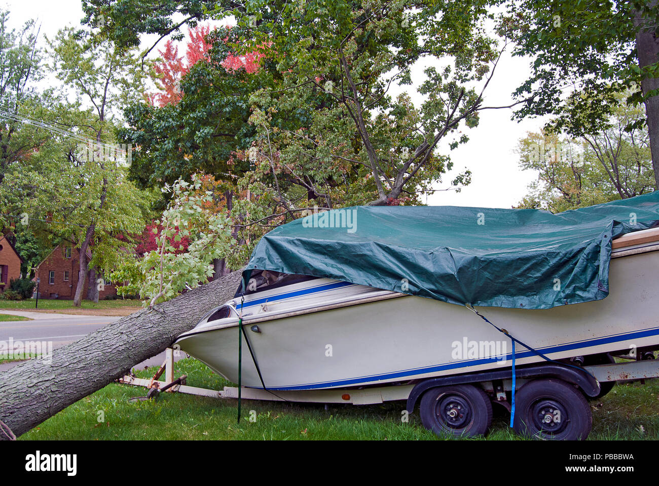 tree fallen on power boat after wind storm Stock Photo - Alamy