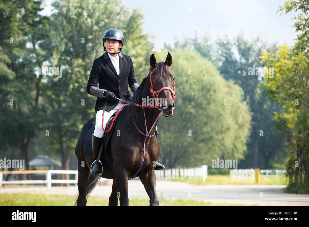 Young Chinese man riding horse Stock Photo - Alamy