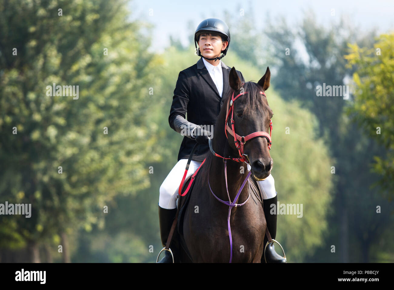 Young Chinese man riding horse Stock Photo - Alamy