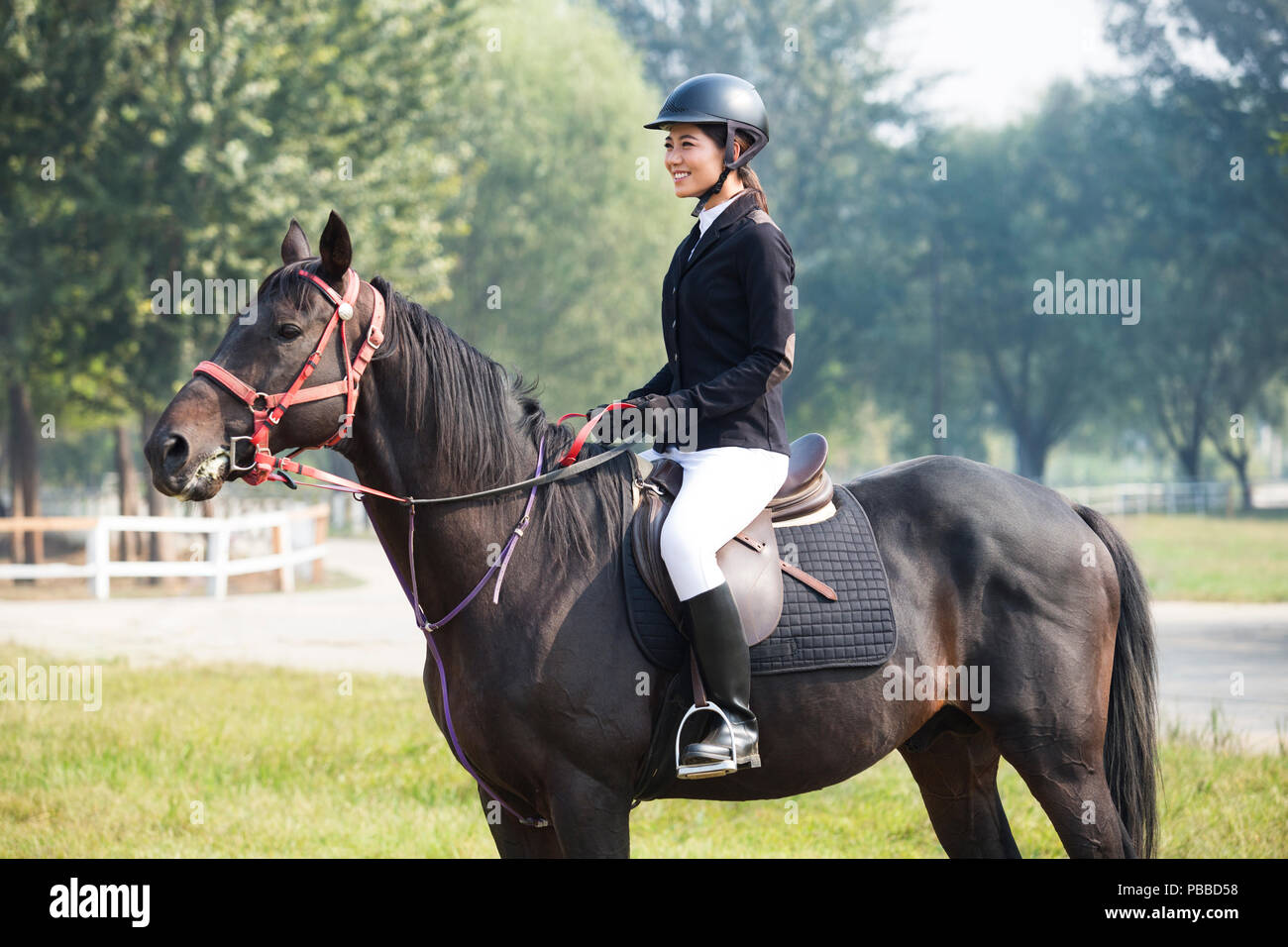 Chinese young woman riding horse hi-res stock photography and images ...