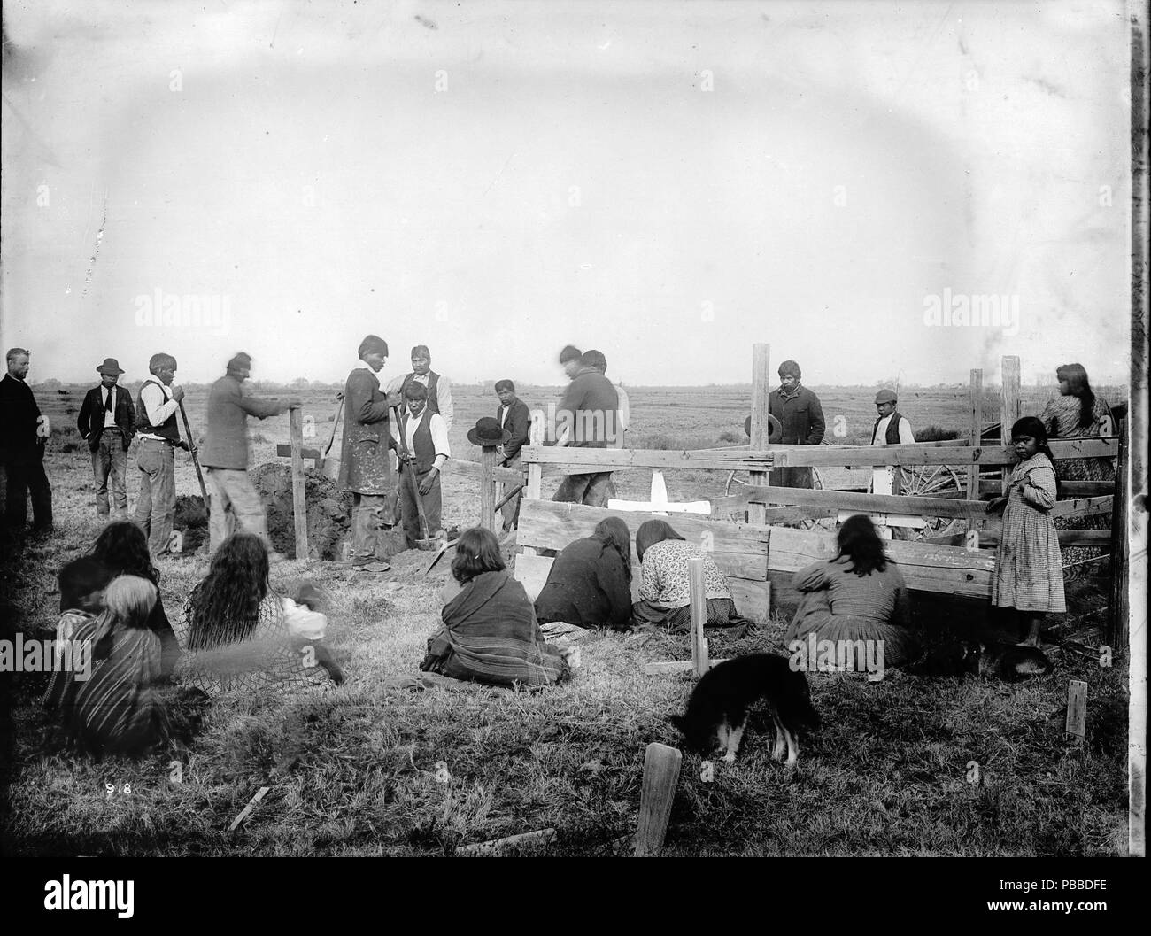 . English: Paiute indian funeral, showing a dog in the foreground, ca ...