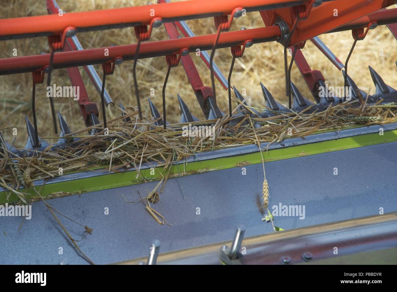 Wheat harvesting: the summer of 2018 and the crops of Pas-de-Calais are ...