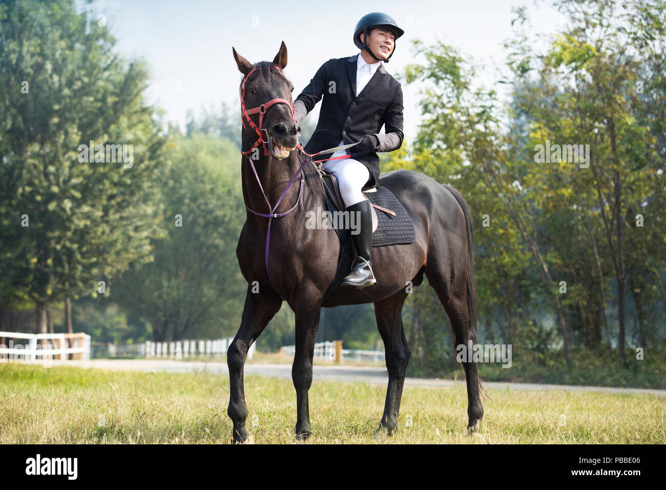 Cheerful young Chinese man riding horse Stock Photo - Alamy