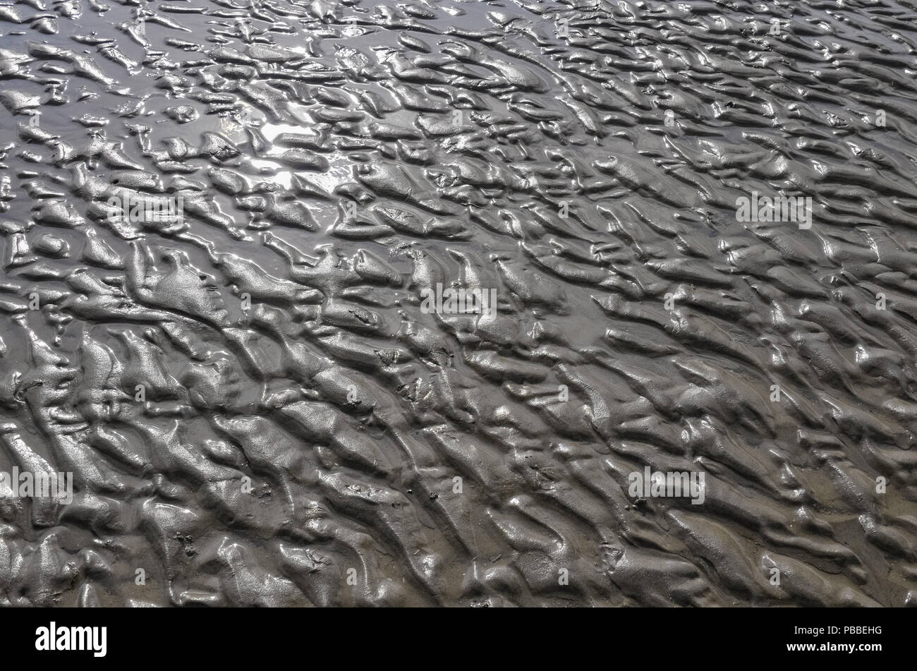 Mud patterns on beach hi-res stock photography and images - Alamy