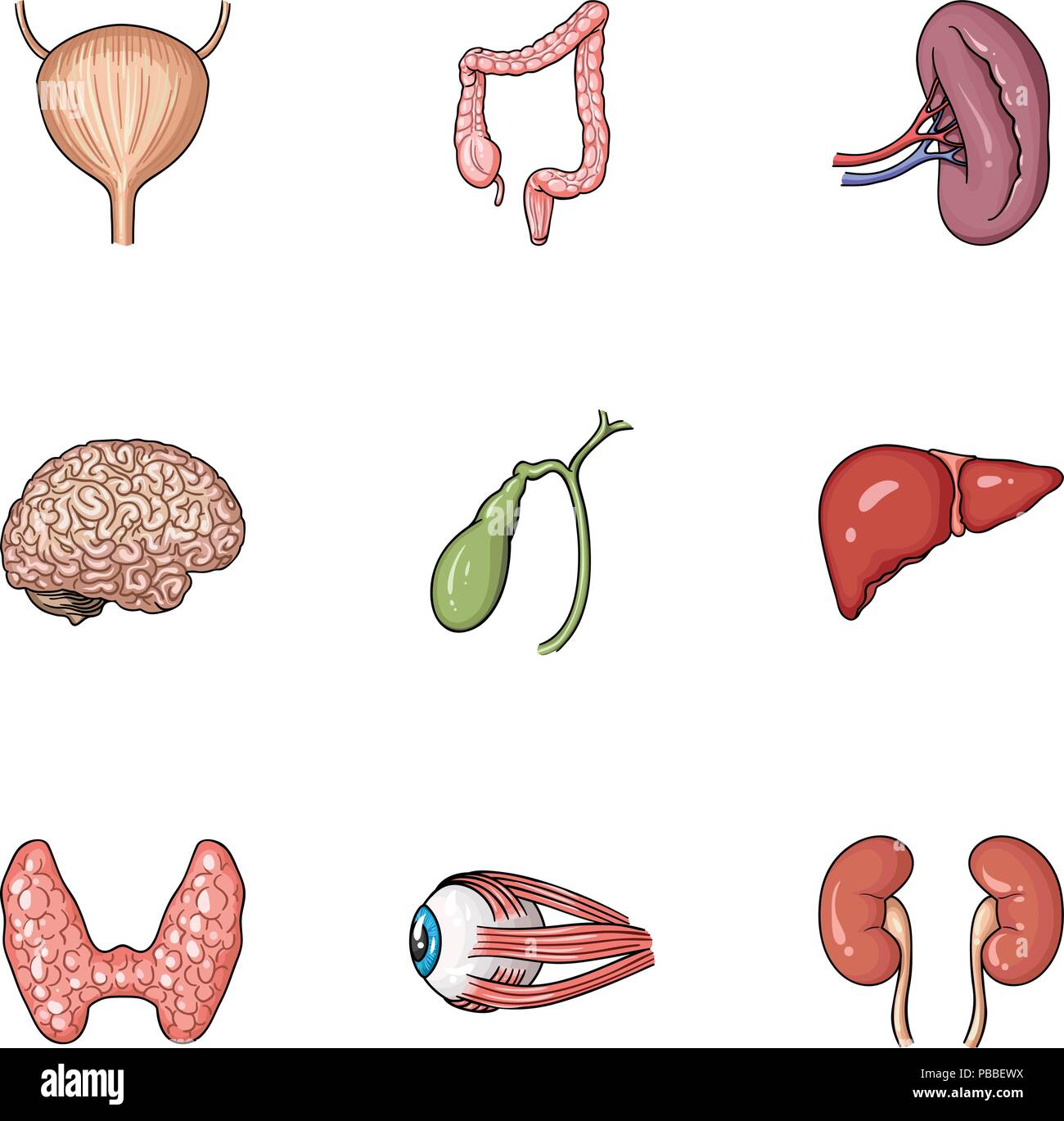 Human organs set icons in cartoon design. Big collection of human ...