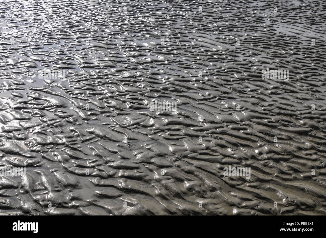 Tidal flow on beach hi-res stock photography and images - Alamy