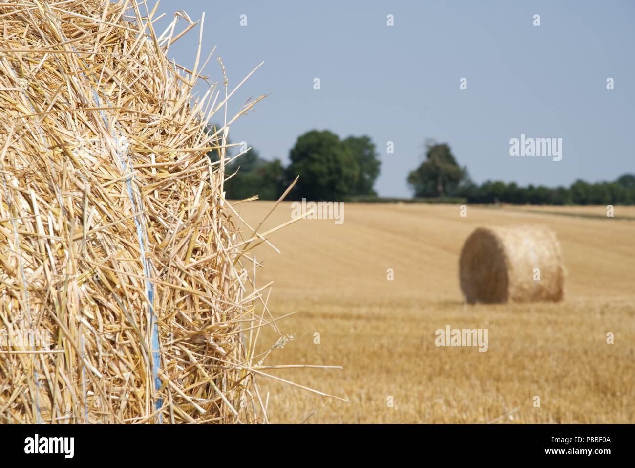 Wheat harvesting: the summer of 2018 and the crops of Pas-de-Calais are ...