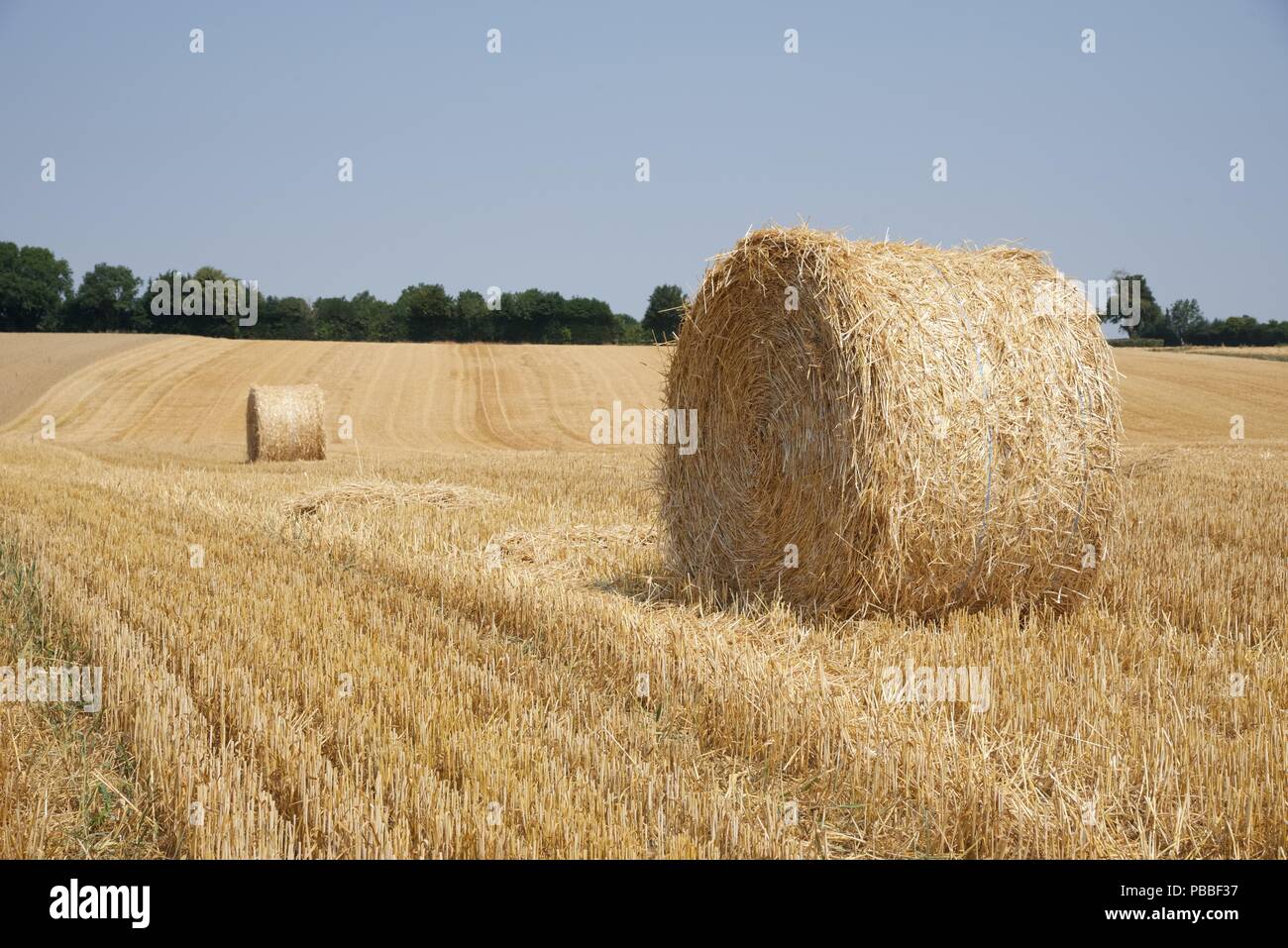 Wheat harvesting: the summer of 2018 and the crops of Pas-de-Calais are ...