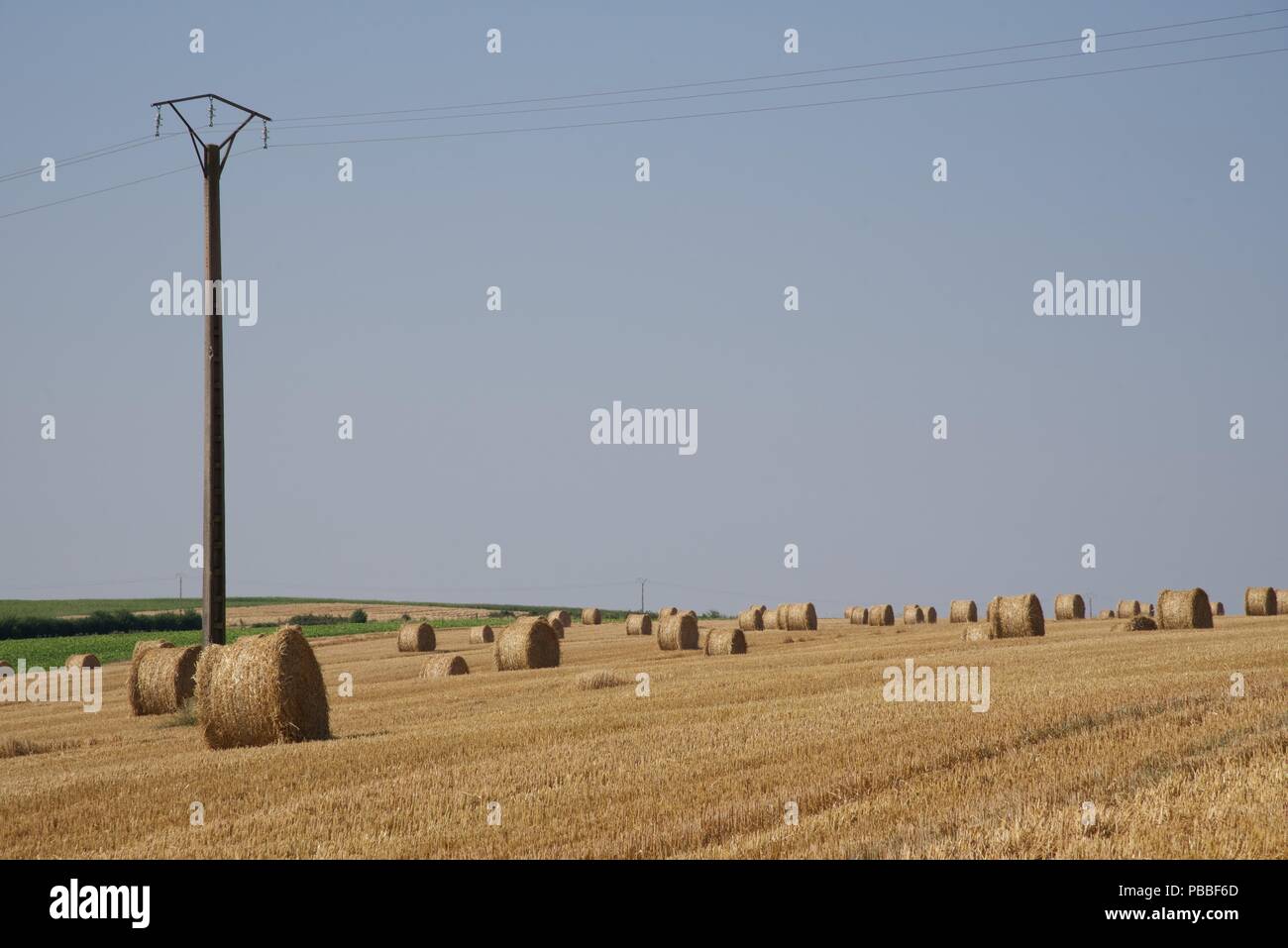 Wheat harvesting: the summer of 2018 and the crops of Pas-de-Calais are ...