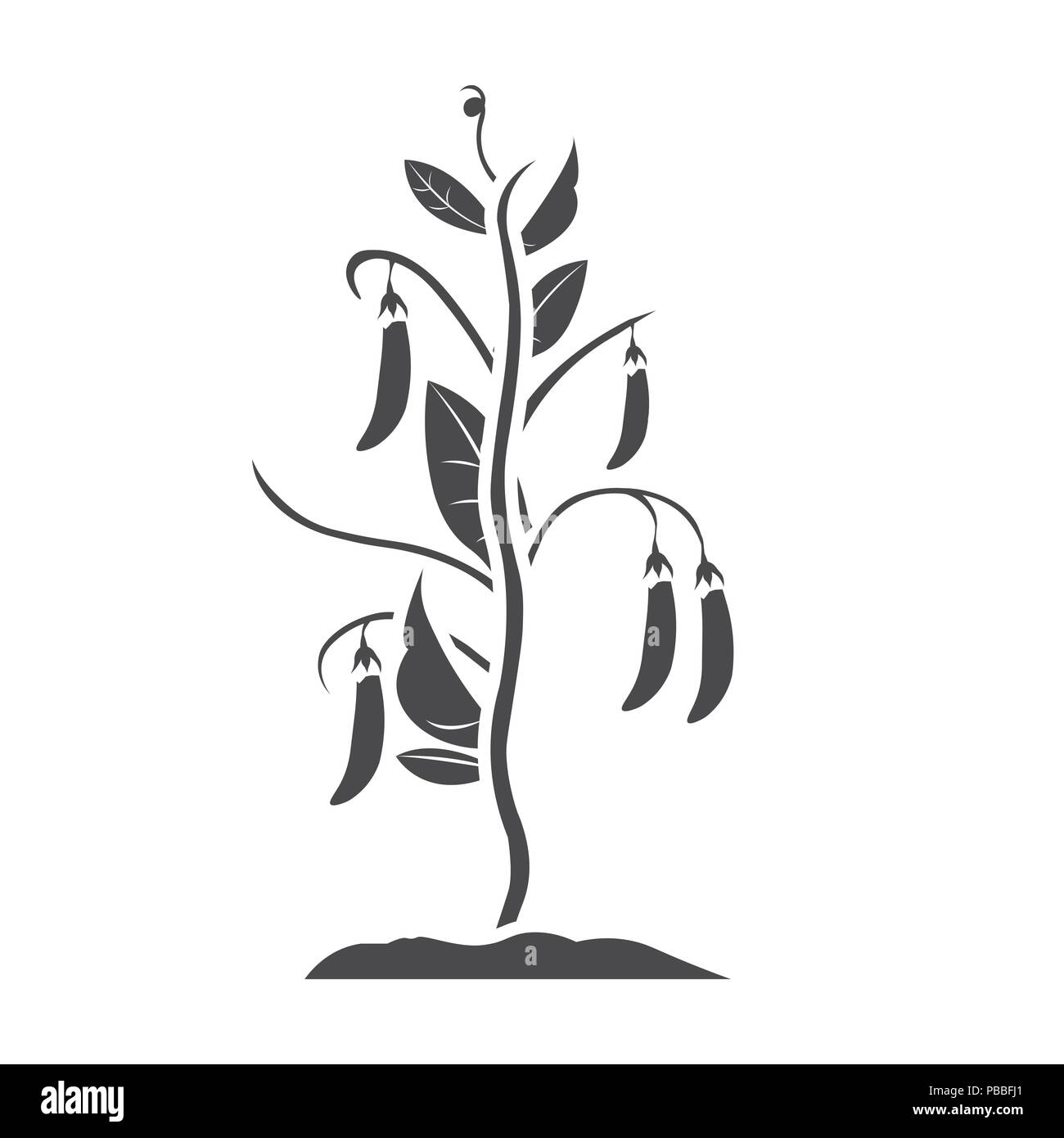 Peas icon in black style isolated on white background. Plant symbol ...