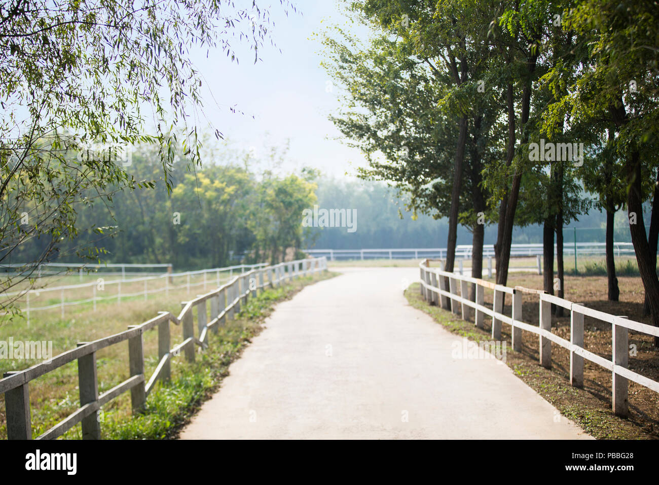 Bridle road hi-res stock photography and images - Alamy