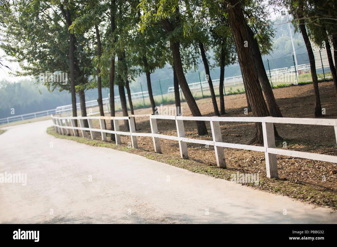 Bridle road hi-res stock photography and images - Alamy