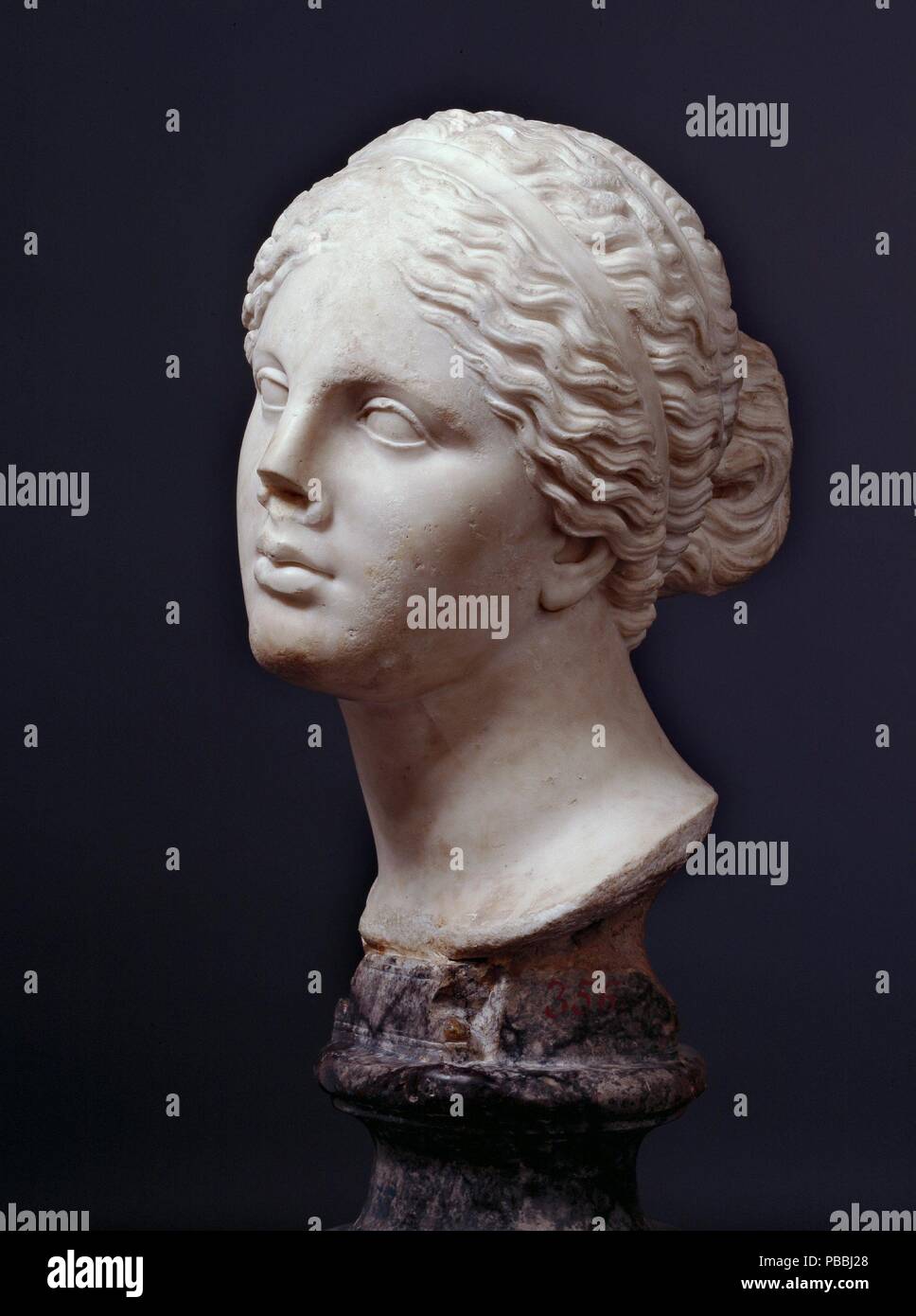 Aphrodite of cnidus hi-res stock photography and images - Alamy