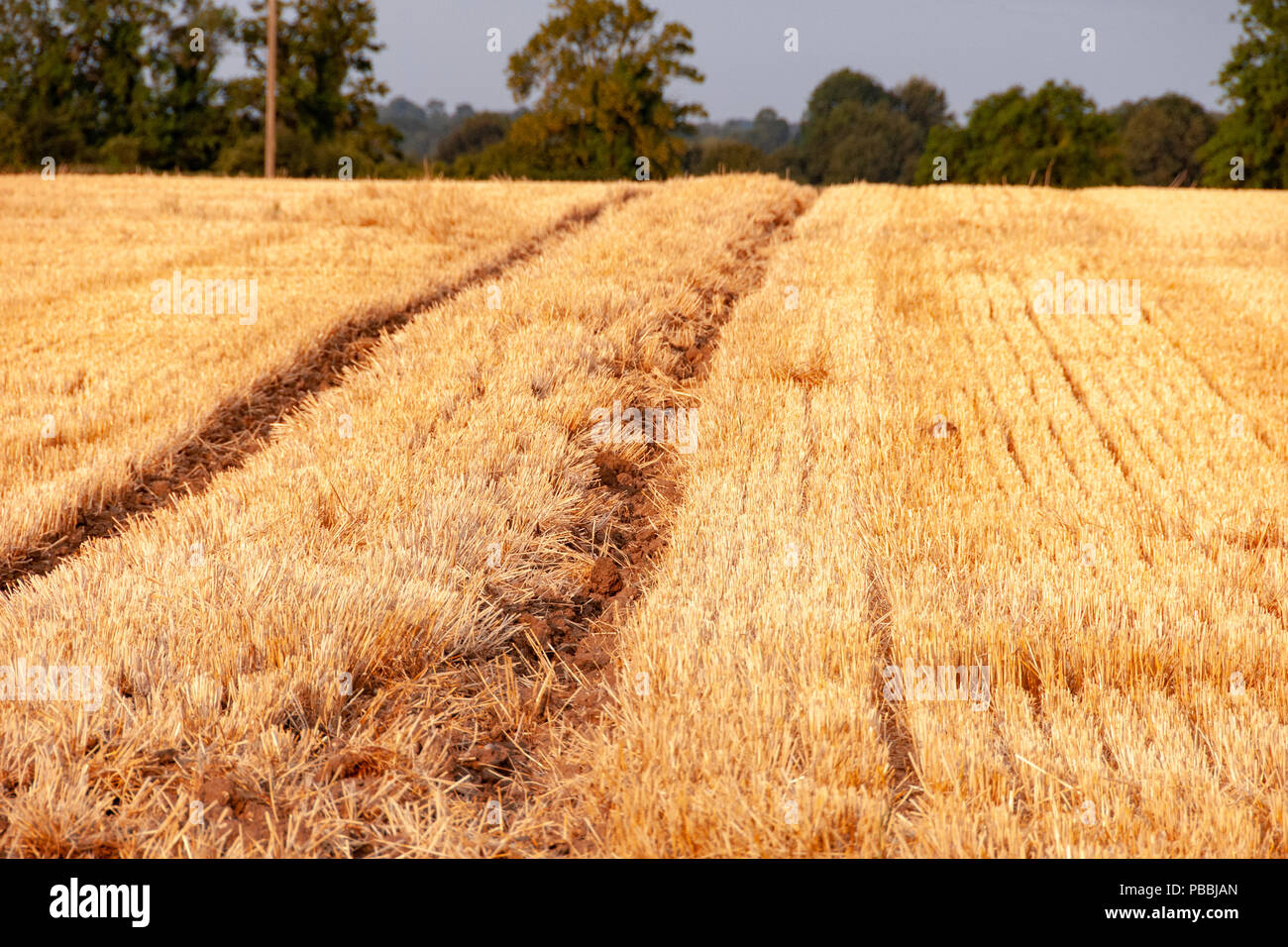 Scorched ruins hi-res stock photography and images - Alamy