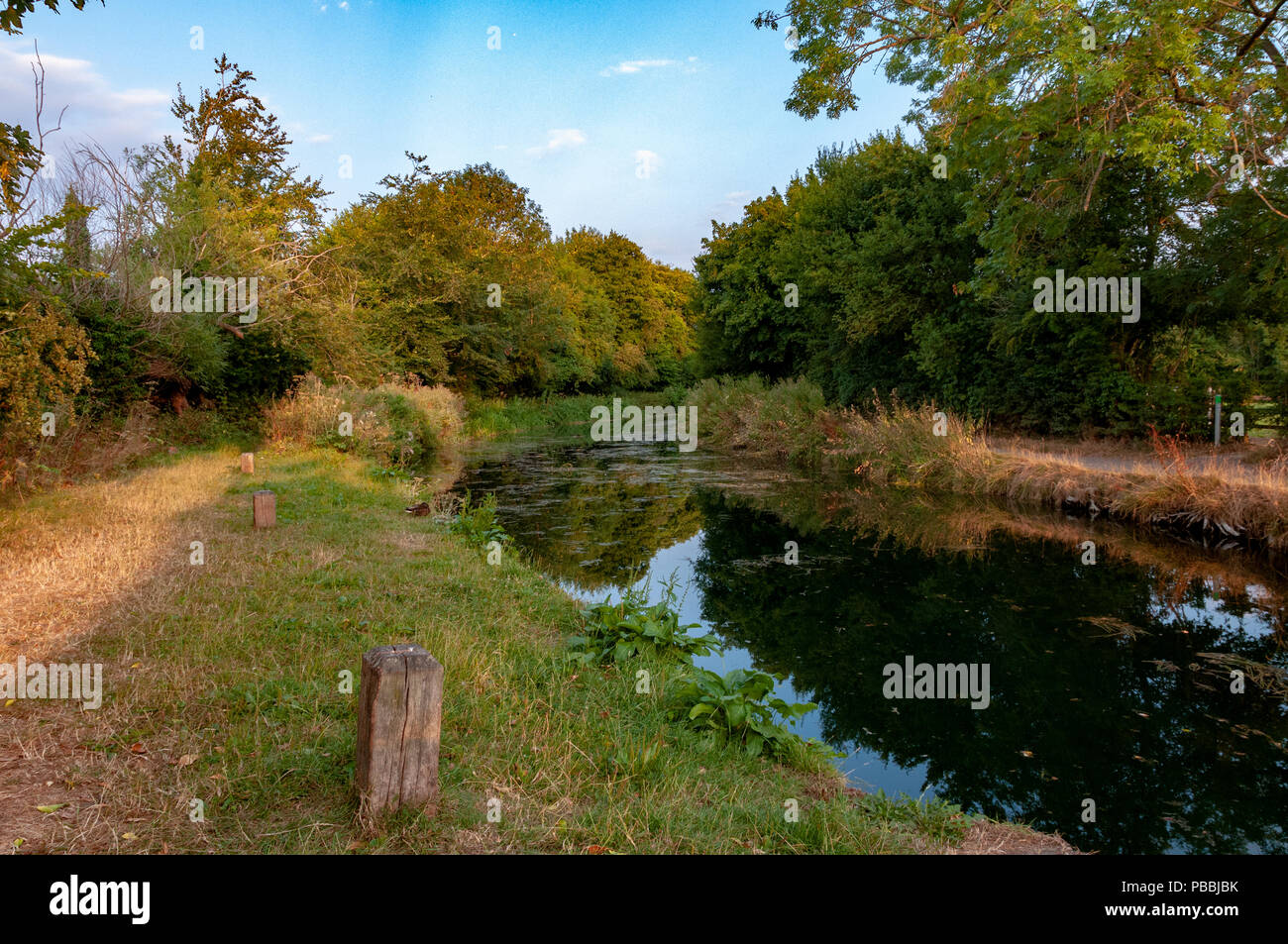 Basingstoke Canal High Resolution Stock Photography and Images - Alamy