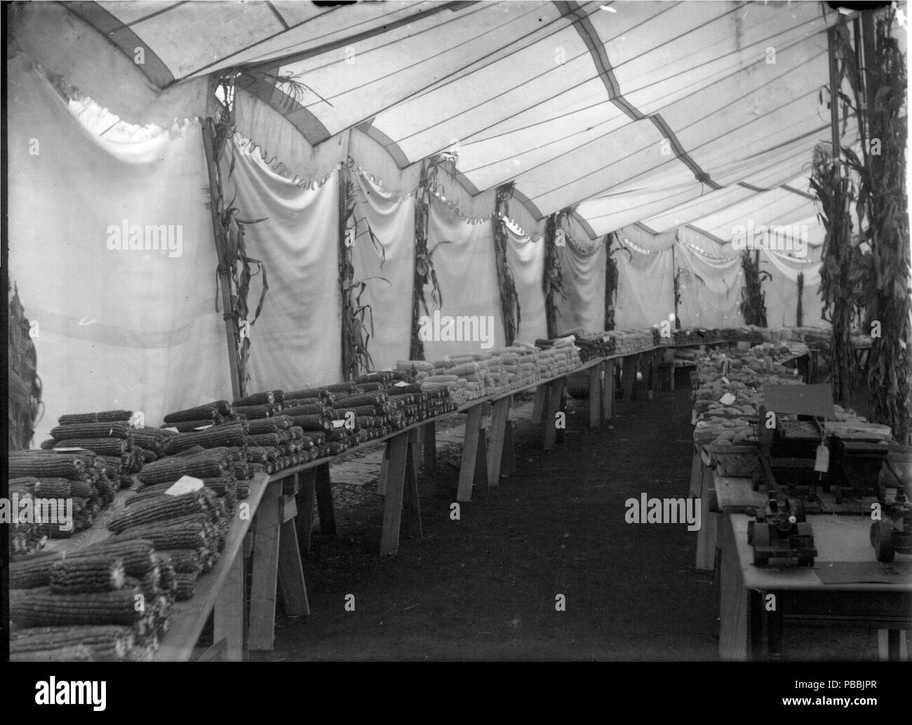 Digital exhibit Black and White Stock Photos & Images - Alamy