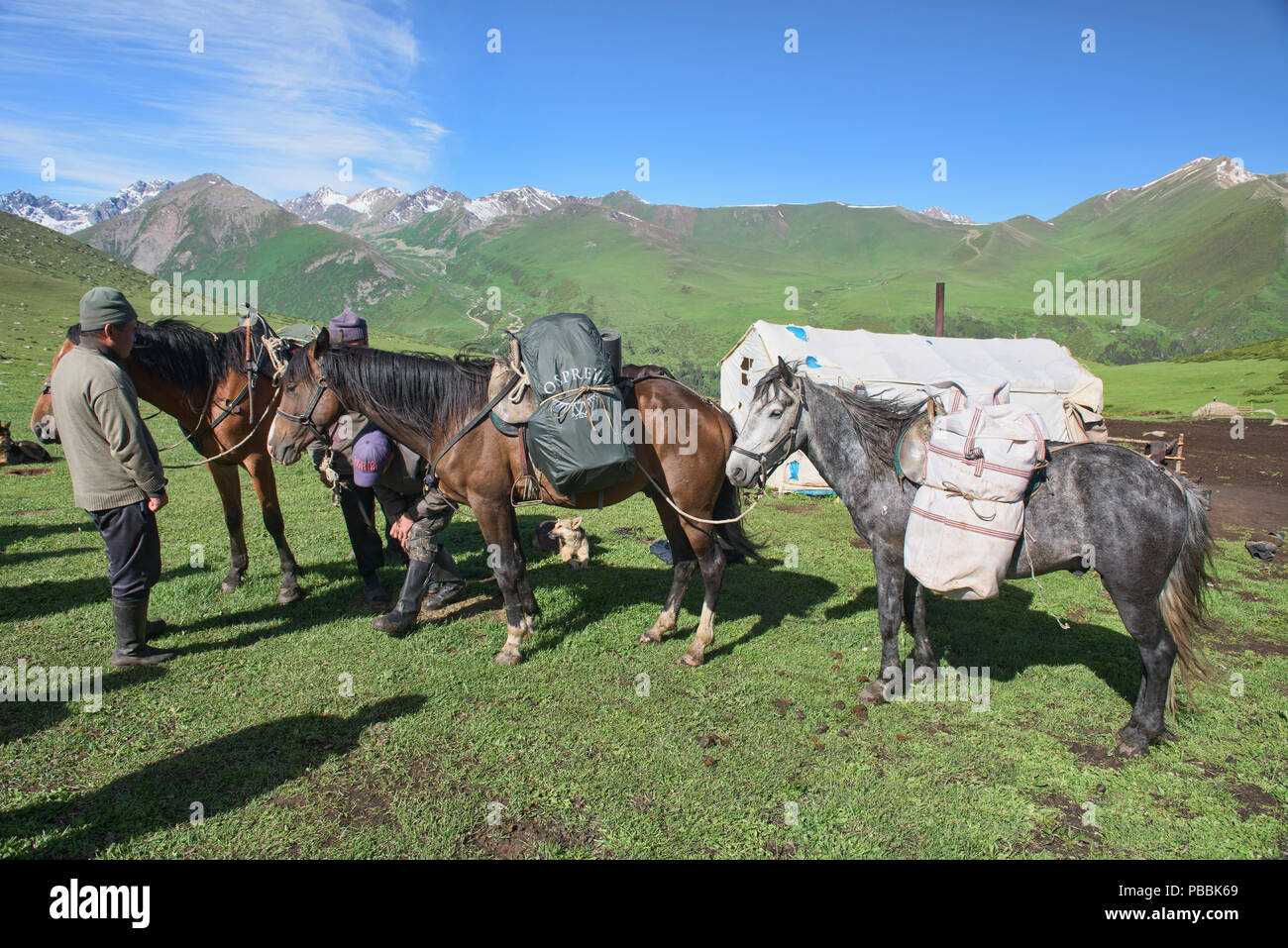 Horse trekking the alpine Keskenkija Trek, Jyrgalan, Kyrgyzstan Stock ...