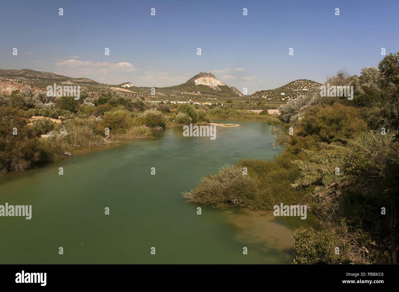 Genil river, Cuevas de San Marcos, Malaga province, Region of Andalusia ...