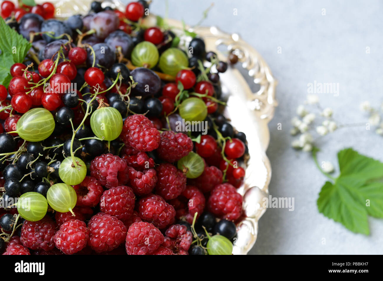 ripe organic mix berries rustic still life Stock Photo - Alamy