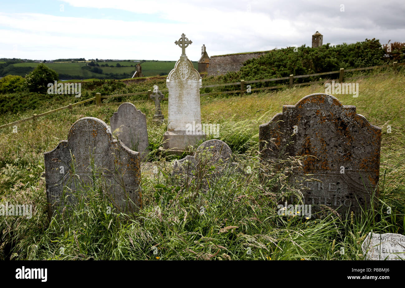 Overgrown cemetery hi-res stock photography and images - Alamy