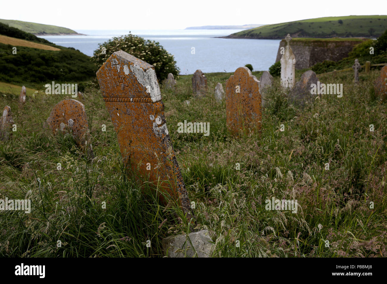 Overgrown cemetery hi-res stock photography and images - Alamy