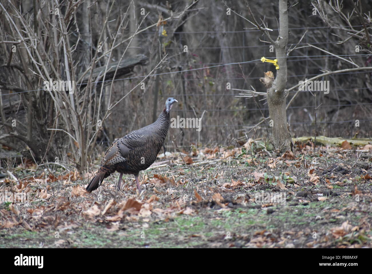 Life behind the Lens Stock Photo - Alamy