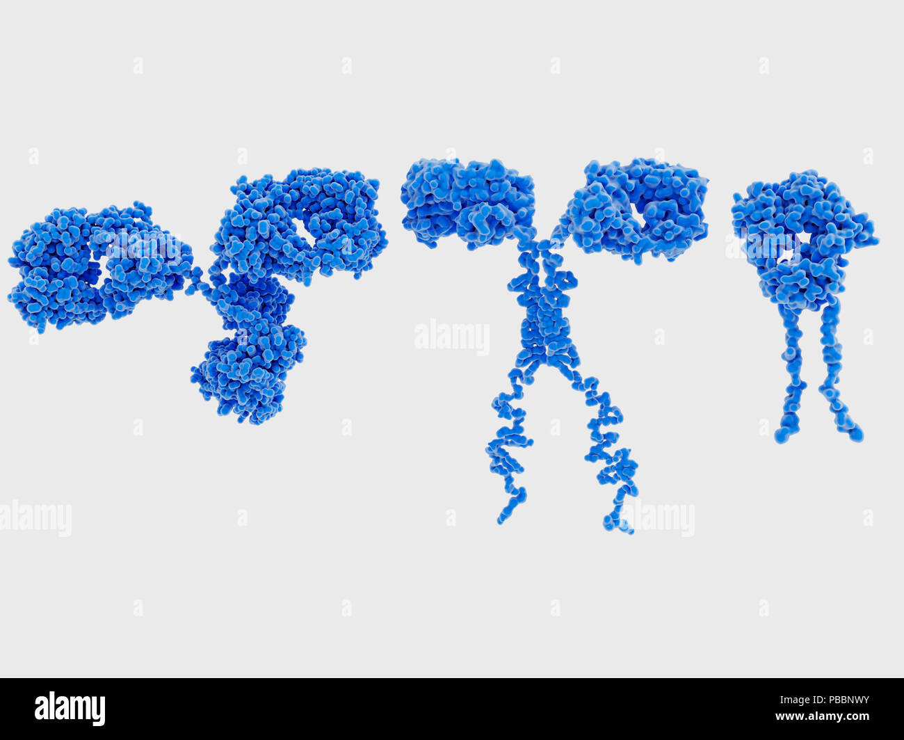 Structures of proteins hi-res stock photography and images - Alamy