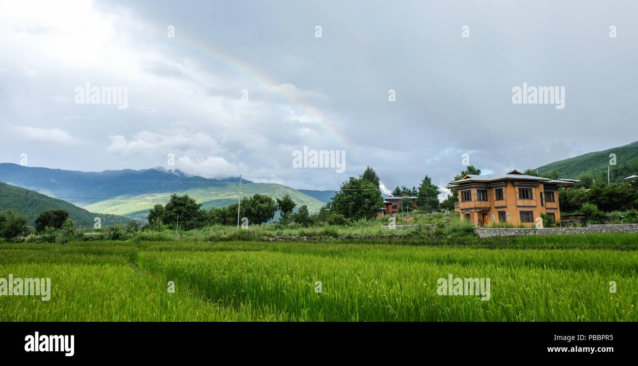 Paddy rice field at the Sopsokha village in Paro, Bhutan. Agriculture ...