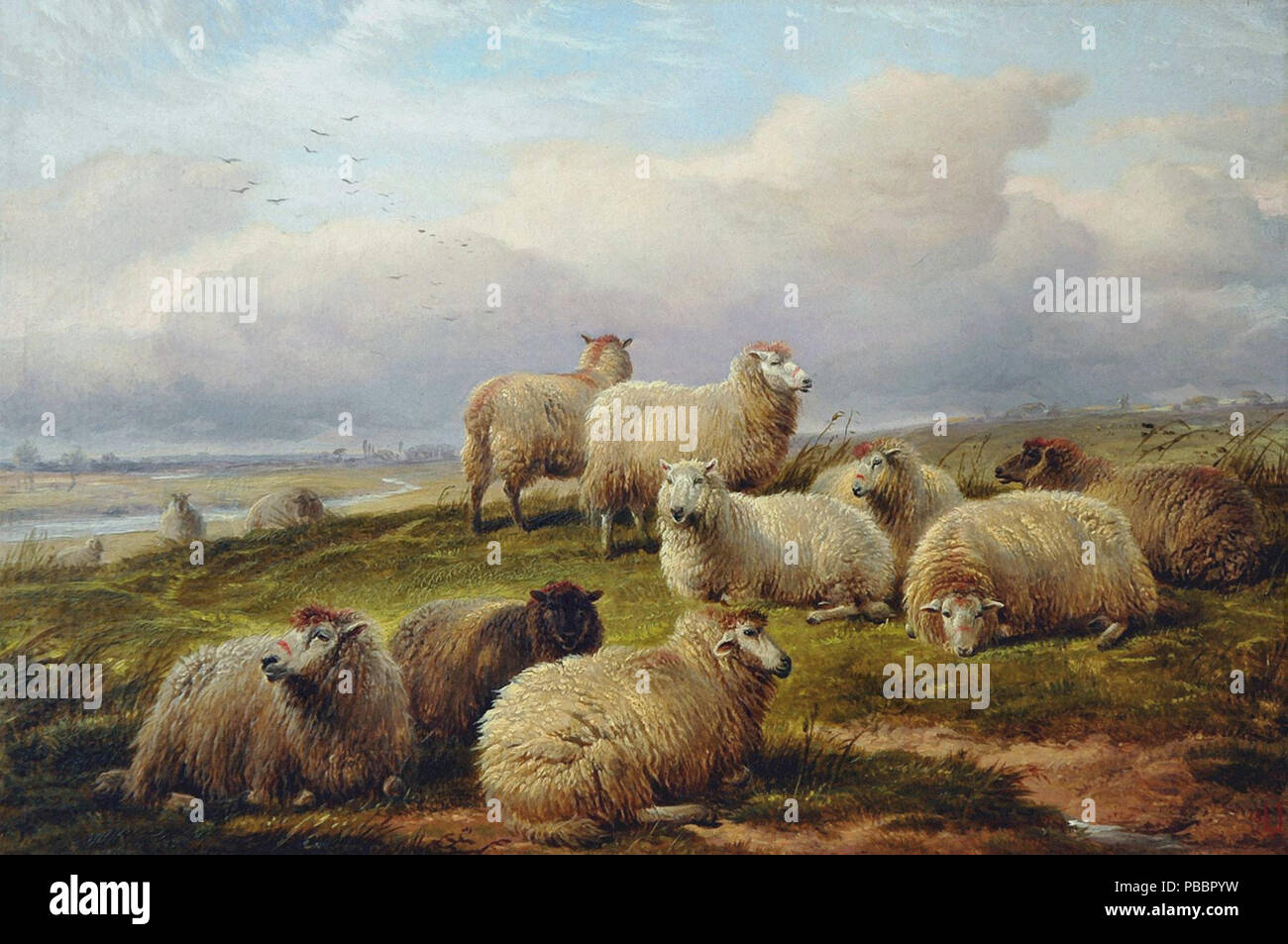 Jones Charles - a Summer Evening Stock Photo - Alamy