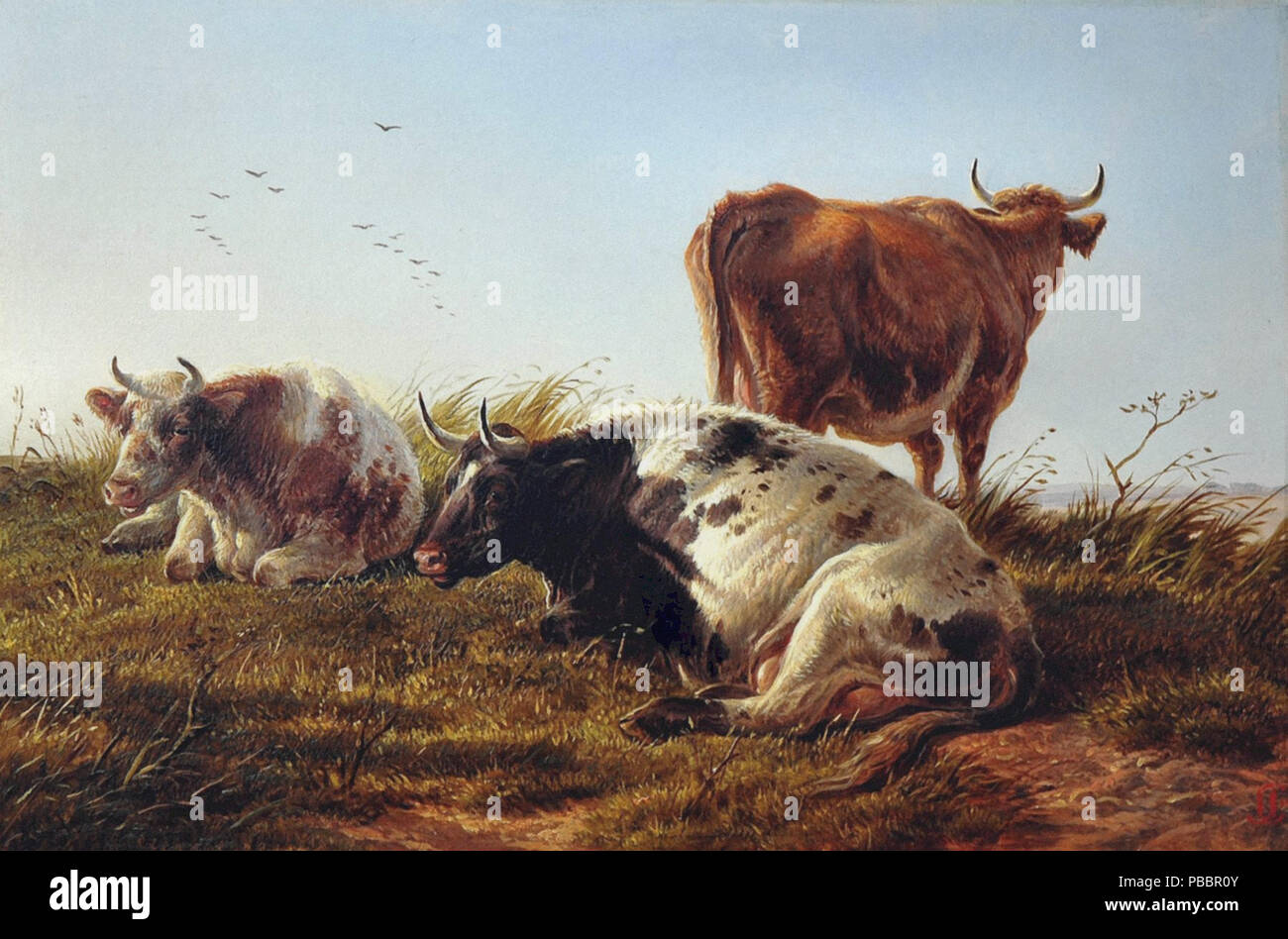 Jones Charles - Early Summer Stock Photo - Alamy