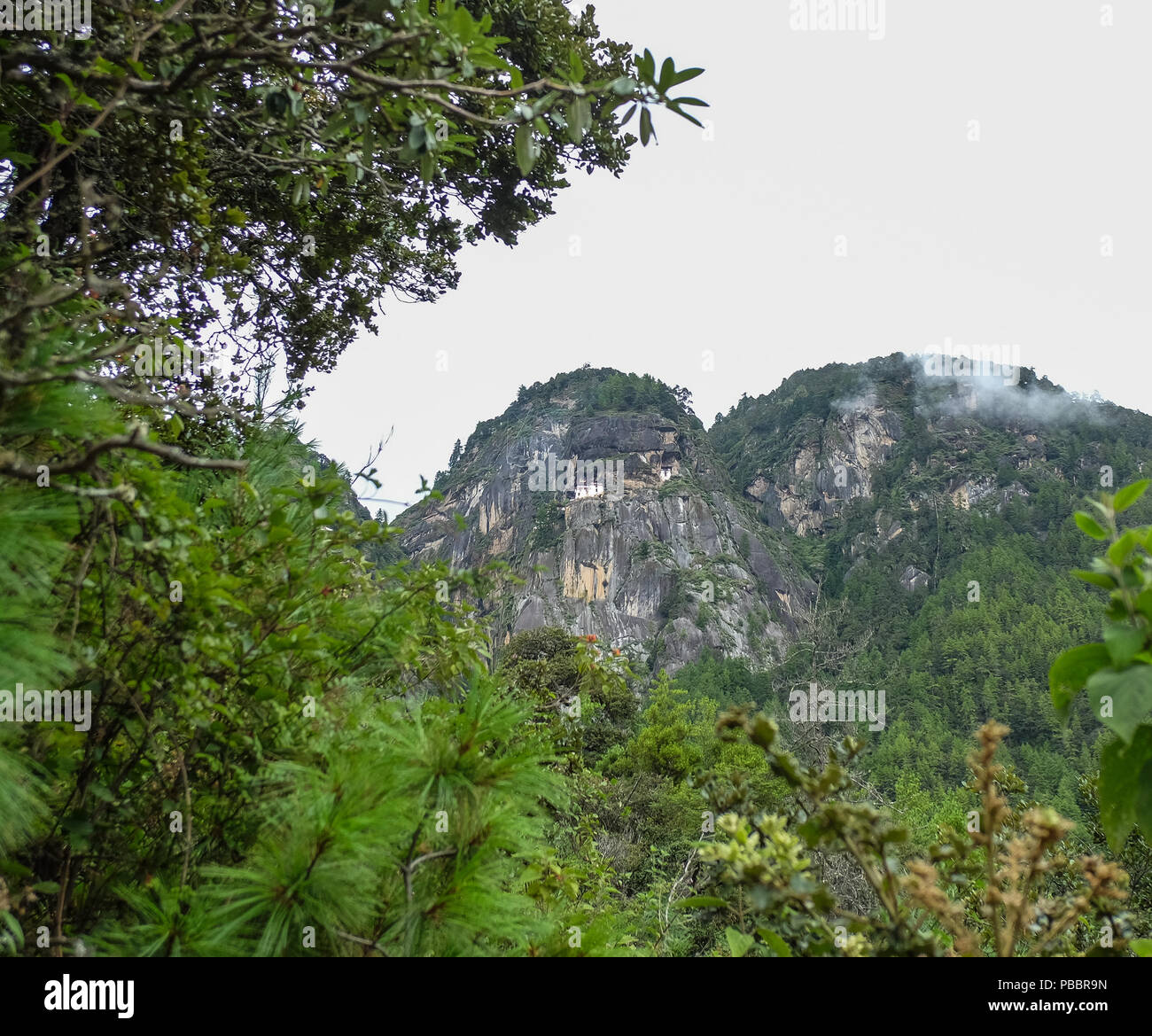 Mountain scenery with deep forest and Paro Taktsang Monastery (Tiger ...