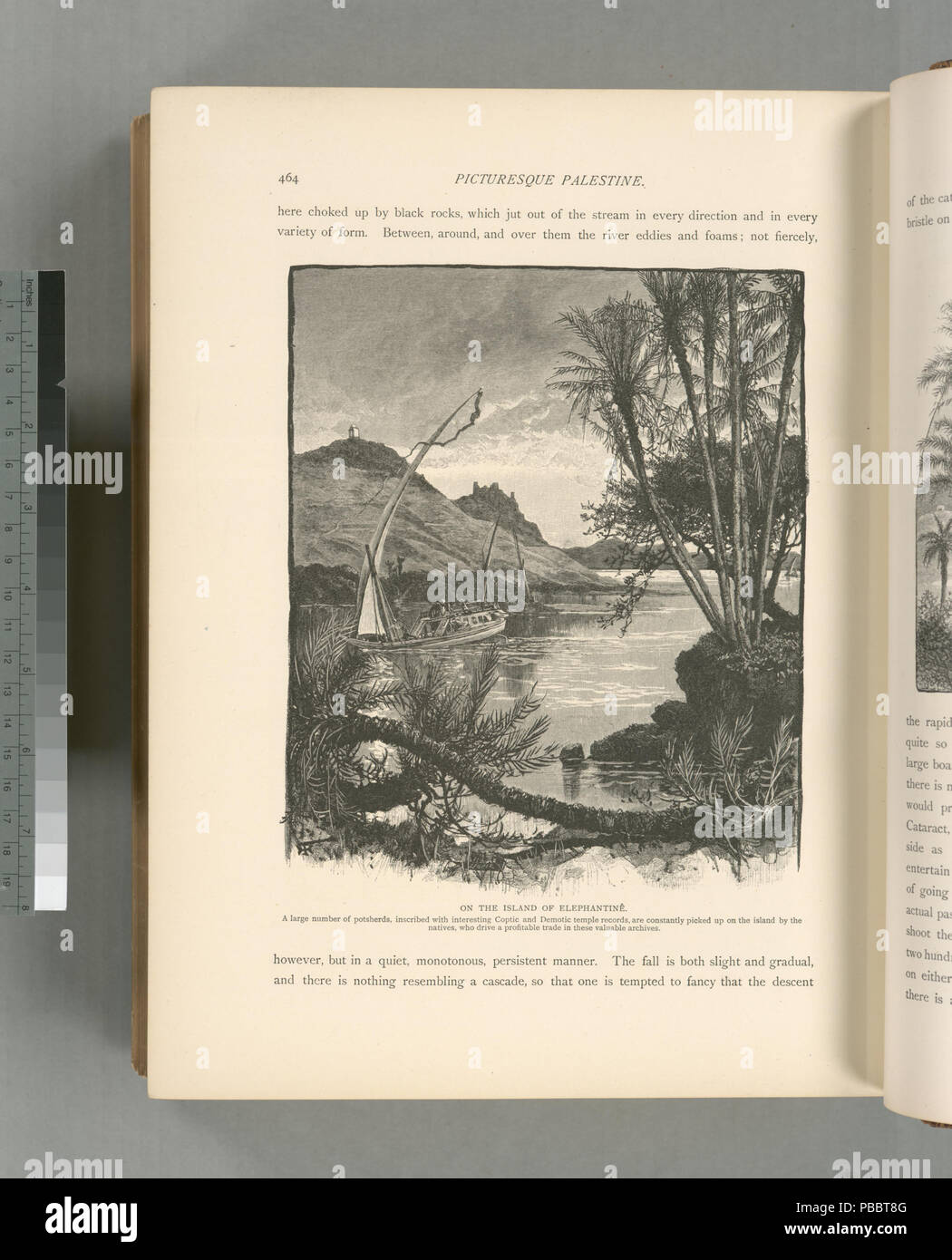 Potsherds hi-res stock photography and images - Alamy