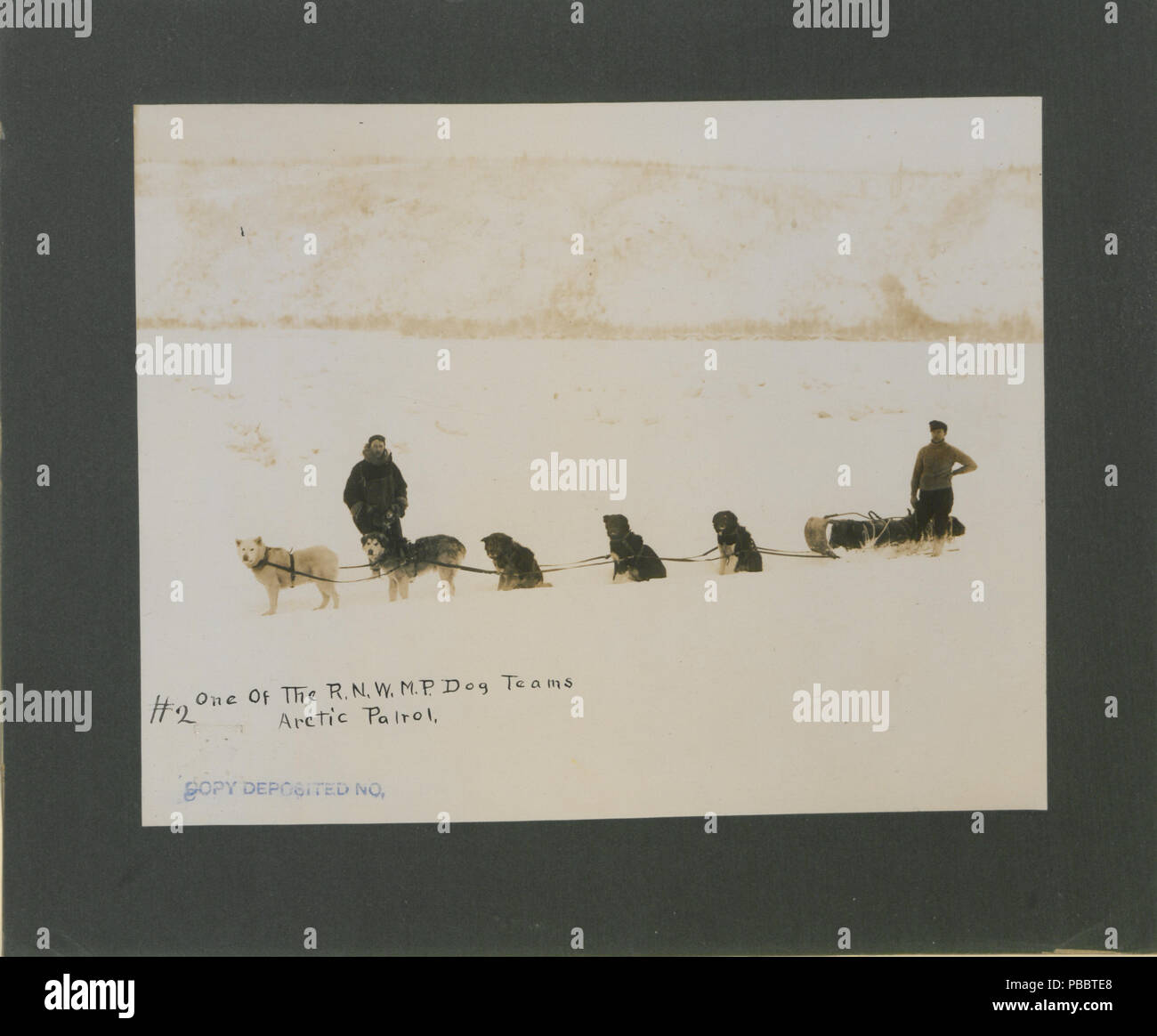 1138 One of the Royal North West Mounted Police dog teams arctic patrol ...