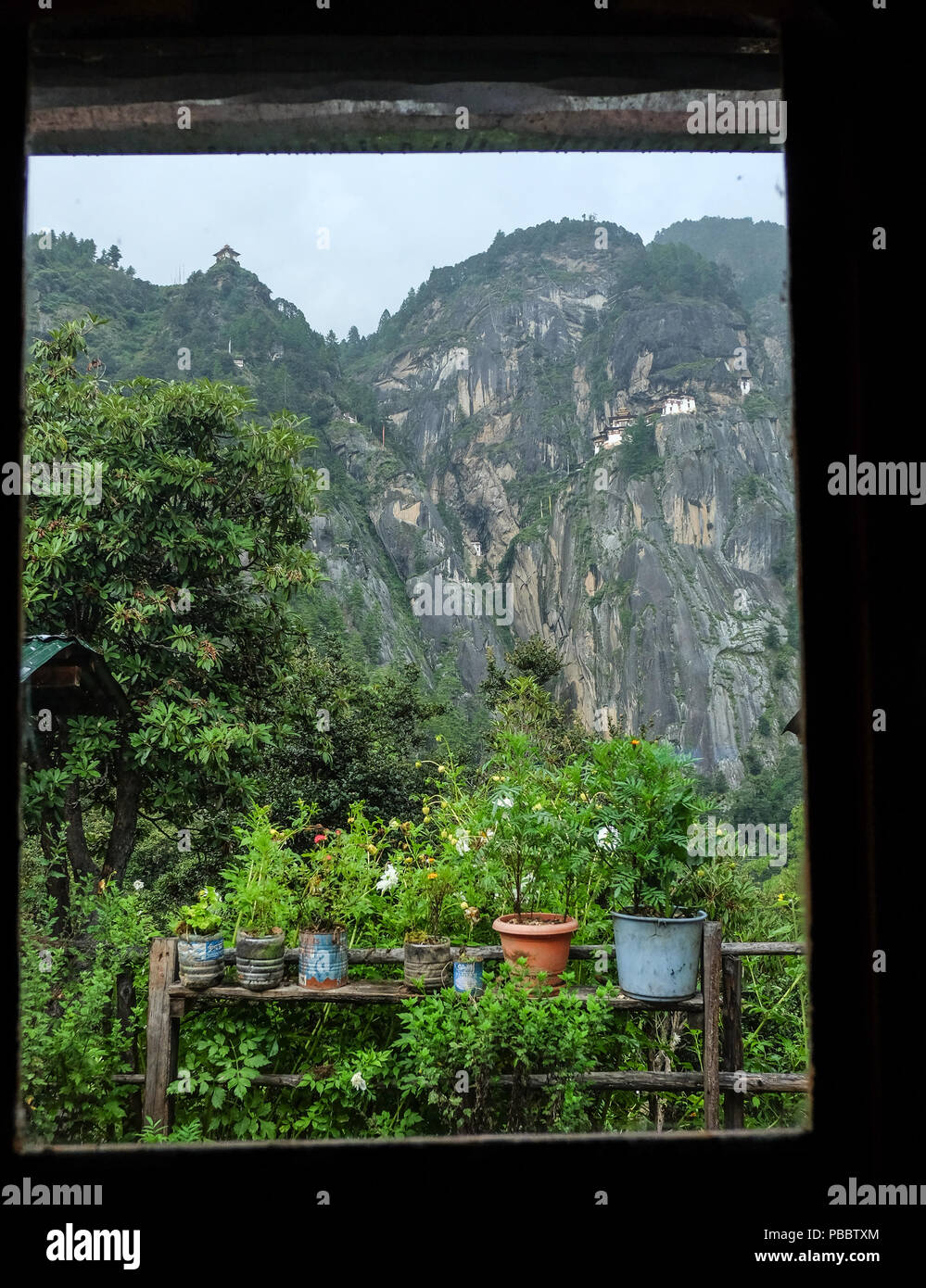 Mountain scenery with deep forest and Paro Taktsang Monastery (Tiger ...