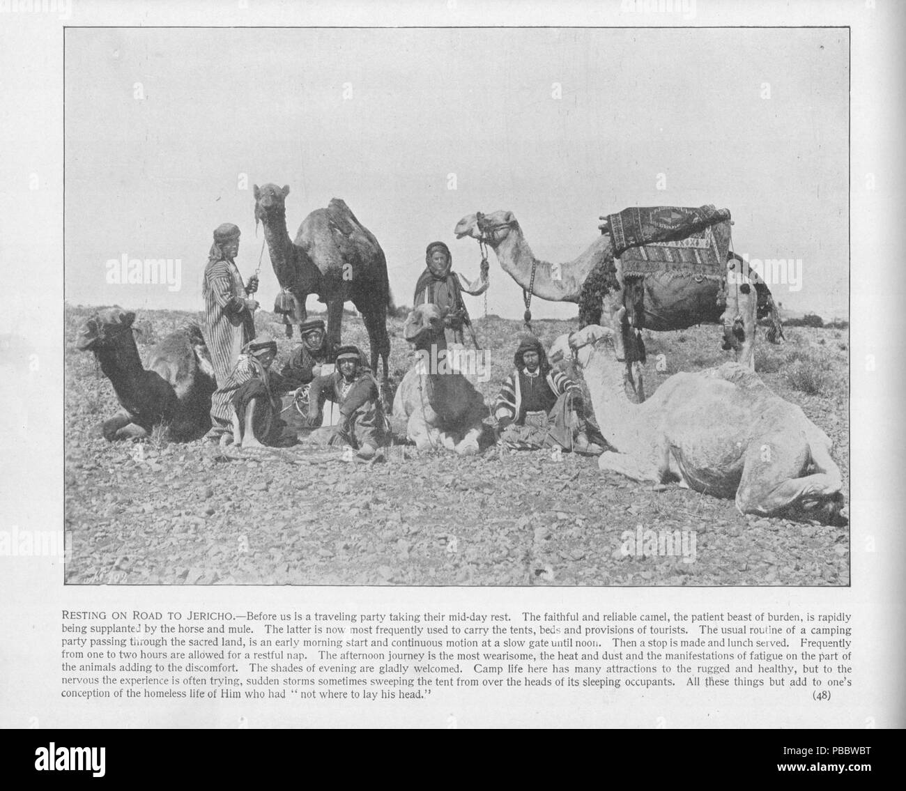 1146 Outside of Jerusalem. Caravan Resting on the Road to Jericho, 48 ...